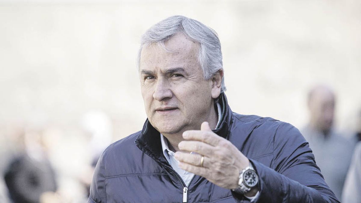 Gerardo Morales ofrece cargo cebollita al PRO: Bullrich o Larreta ...