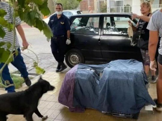 Macabro: asesinaba perros y gatos para alargar su vida