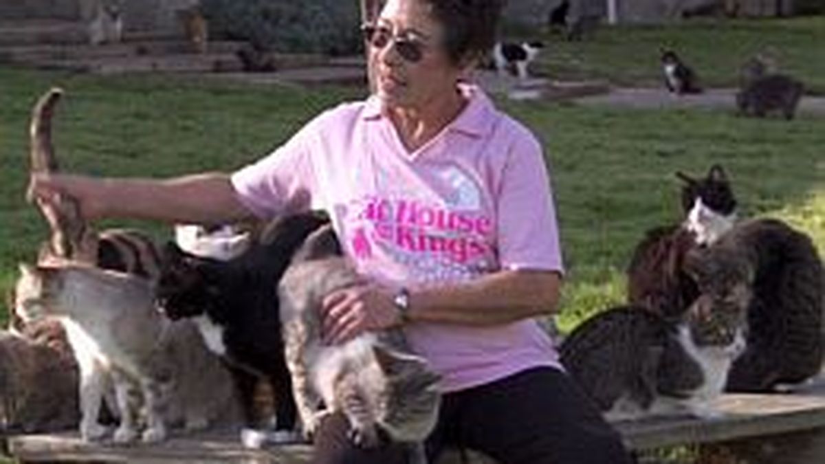 La mujer que vive con 700 gatos