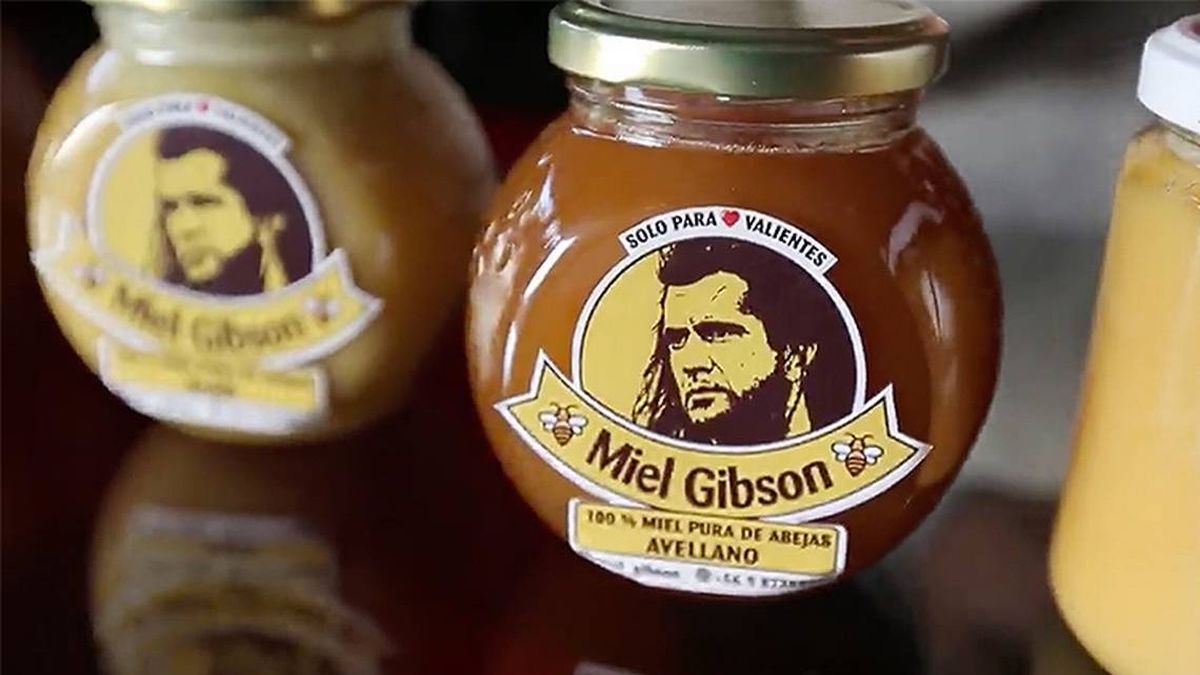 La insólita historia de Miel Gibson: demanda del actor y batalla por el ...