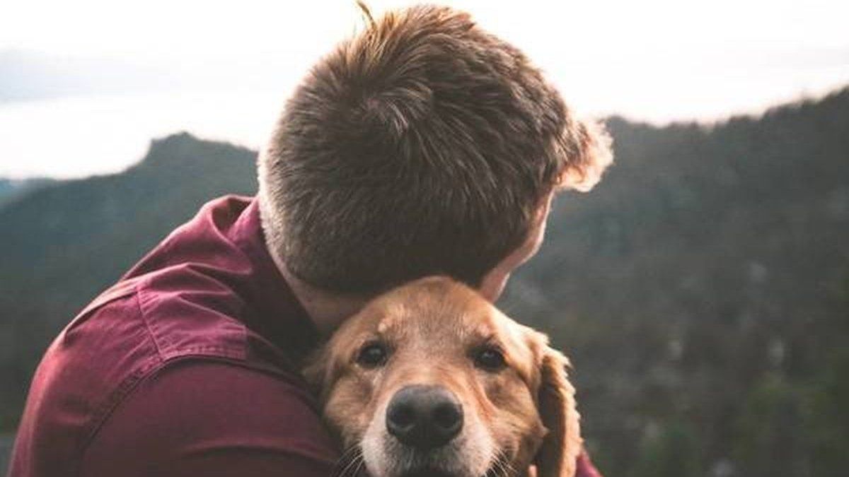 Mascotas: ¿cuáles son las mejores razas de perros acompañantes?