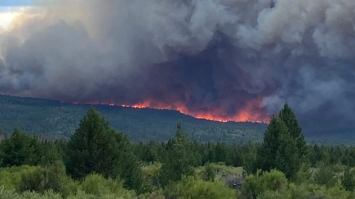 Incendio forestal en Río Negro: brigadistas trabajan contrarreloj para ...