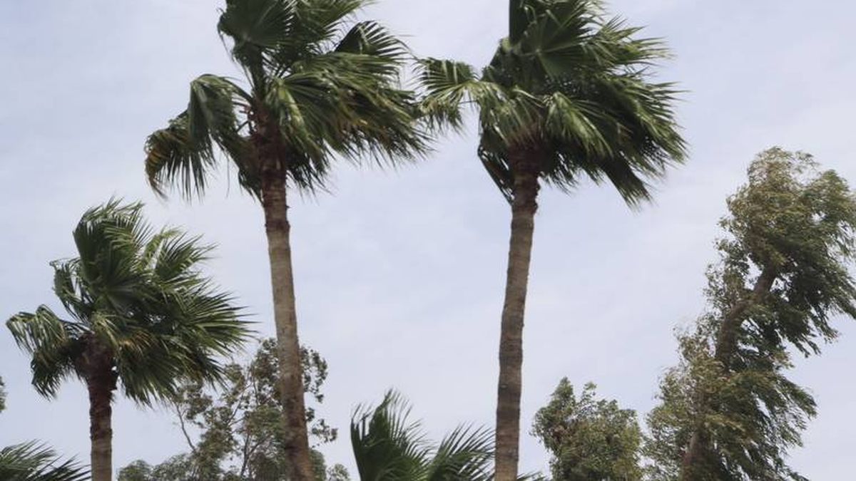 Estado del tiempo en Baja California Sur hoy, 4 de septiembre 2025 ...