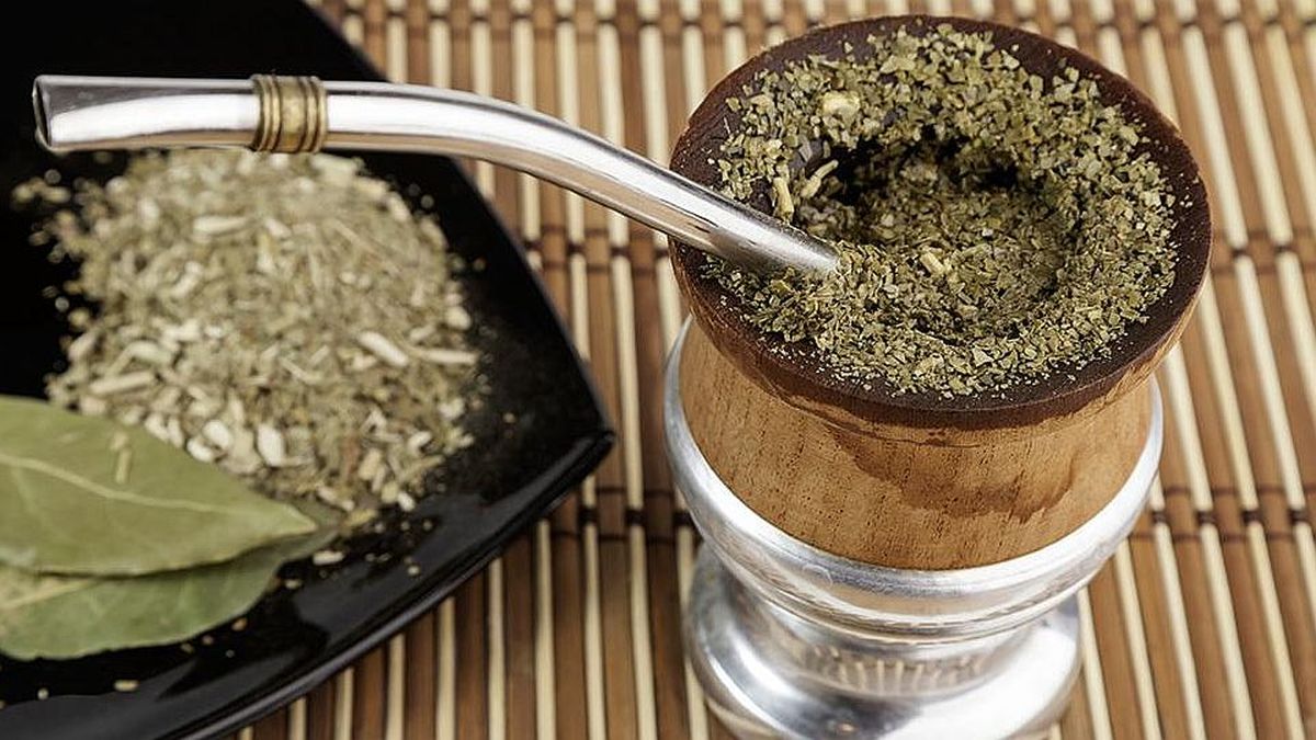 Comenzará a venderse yerba mate con cannabis en Uruguay