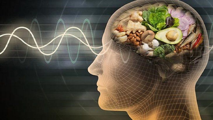 Estos Son Los Alimentos Que Dañan Tu Cerebro Y Que No Debés Comer Jamás