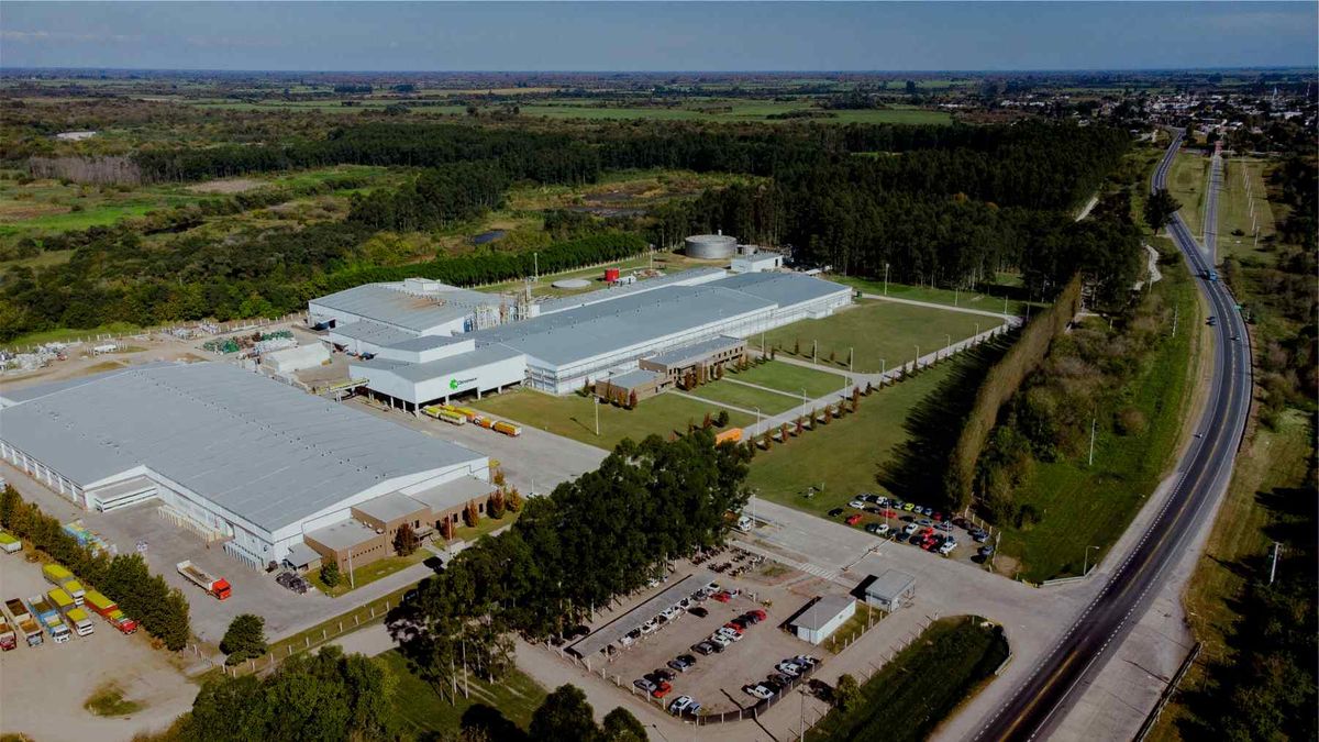 Citromax SACI: 60 años de innovación y liderazgo en la Industria citrícola