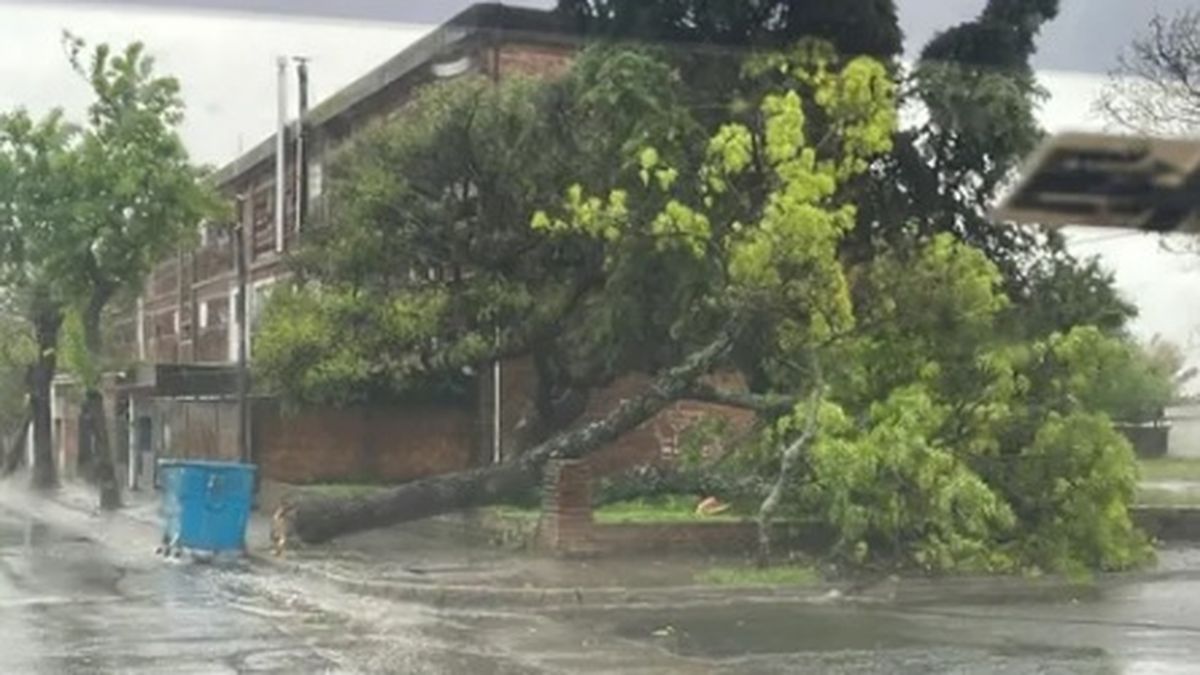 Un temporal con vientos de 152 km/h dejó miles de afectados y daños en el agro y la zona portuaria