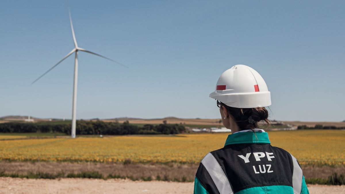 YPF líder del mercado local en la utilización de renovables