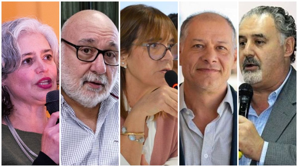 De la universidad al Congreso: quiénes son los rectores que buscarán ...