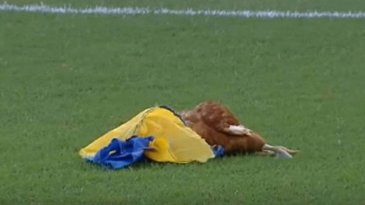 De muy mal gusto: hinchas de Newells se burlaron de Central con una ...