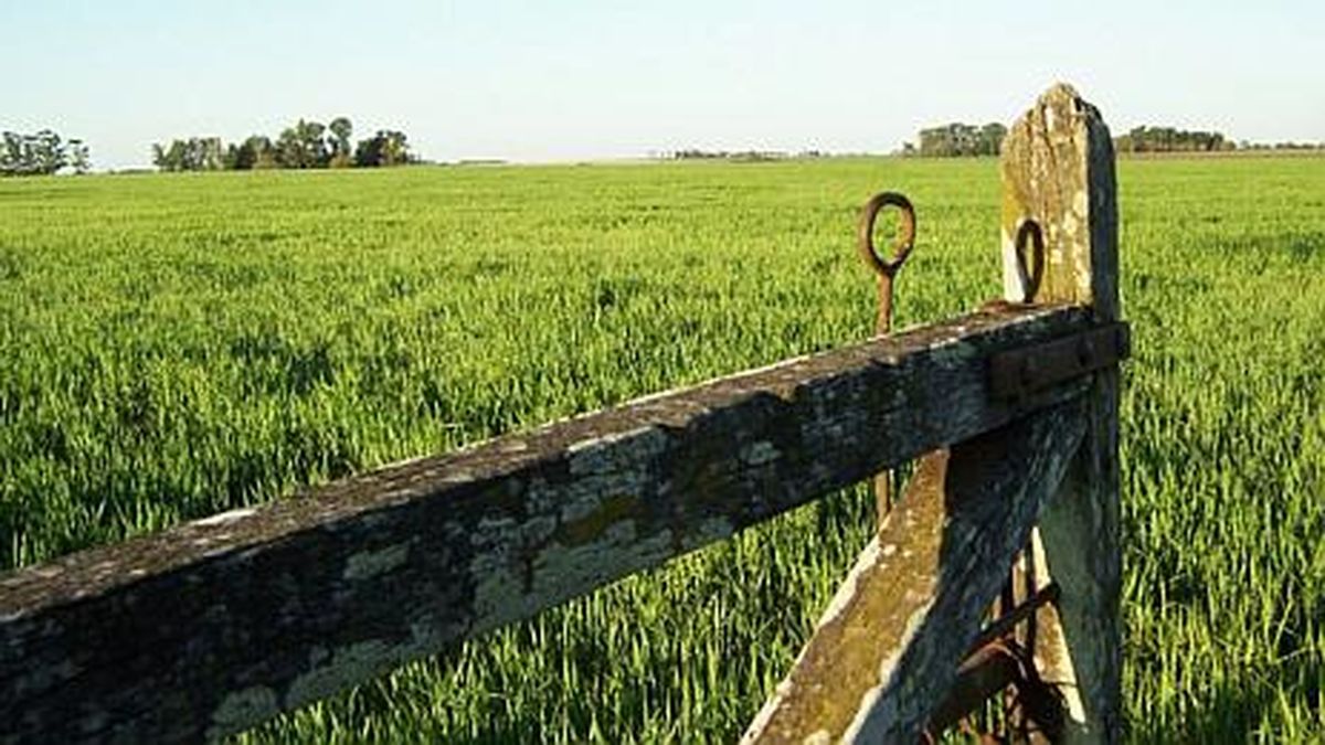 Los inmuebles rurales en el exterior, su tratamiento en Bienes Personales