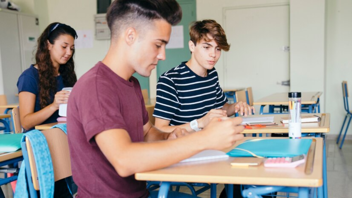 MEGA FELIZ NOTICIA: CFE repartirá 237 MIL CHIPS a ESTUDIANTES en ...