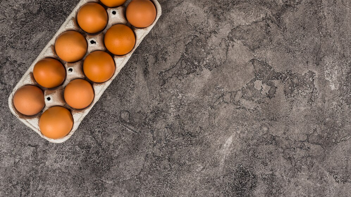 Cuáles son las MARCAS DE HUEVOS que están contaminadas con SALMONELLA y ...