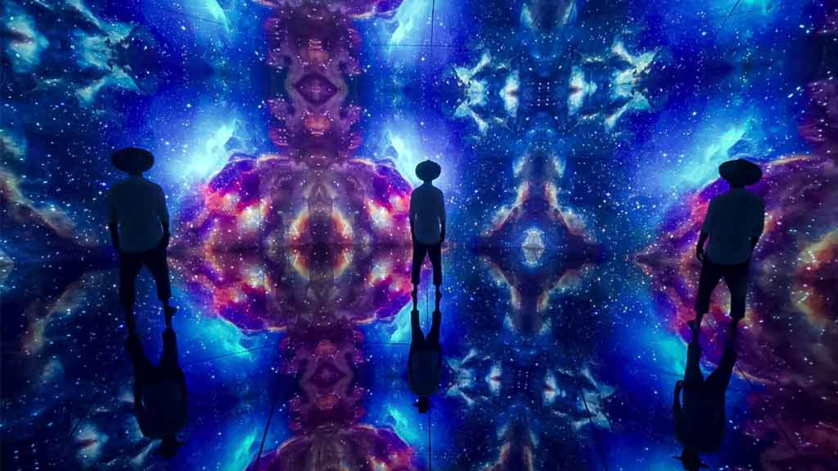 ¡Imperdible! La innovadora muestra inmersiva con 8 salas que se lanzó ...