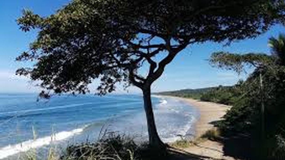 Punta Raza, la joya oculta de NAYARIT con un encuentro único con vistas ...
