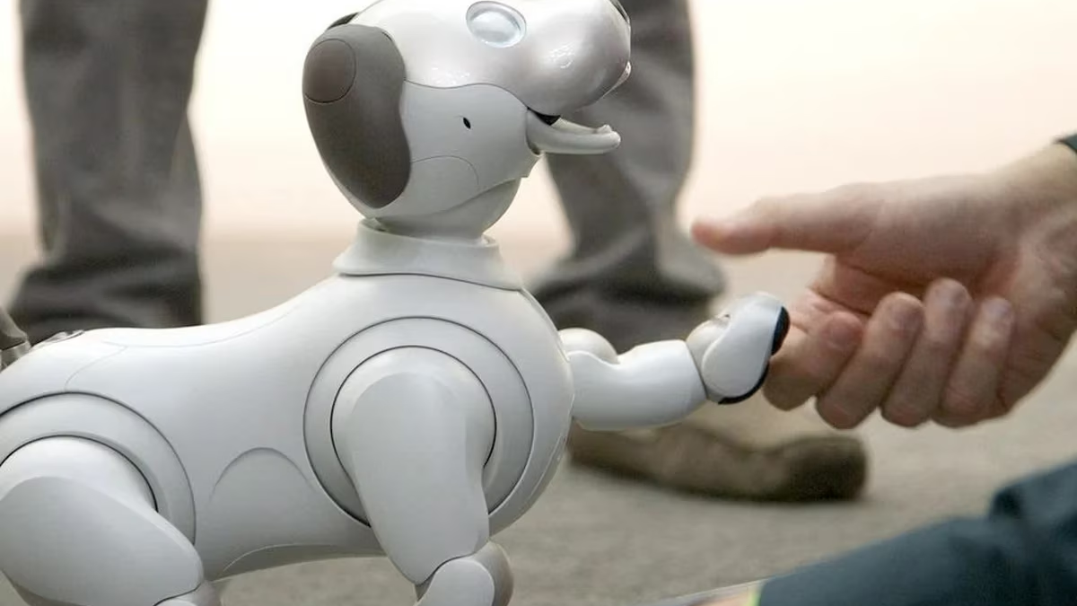 Del perro al androide: el futuro de las mascotas, según Inteligencia ...