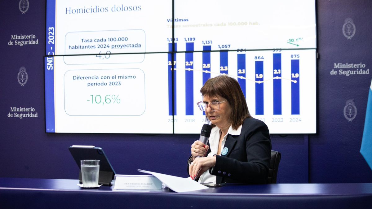 Patricia Bullrich presentó índices del crimen en 2024: sensible baja en ...