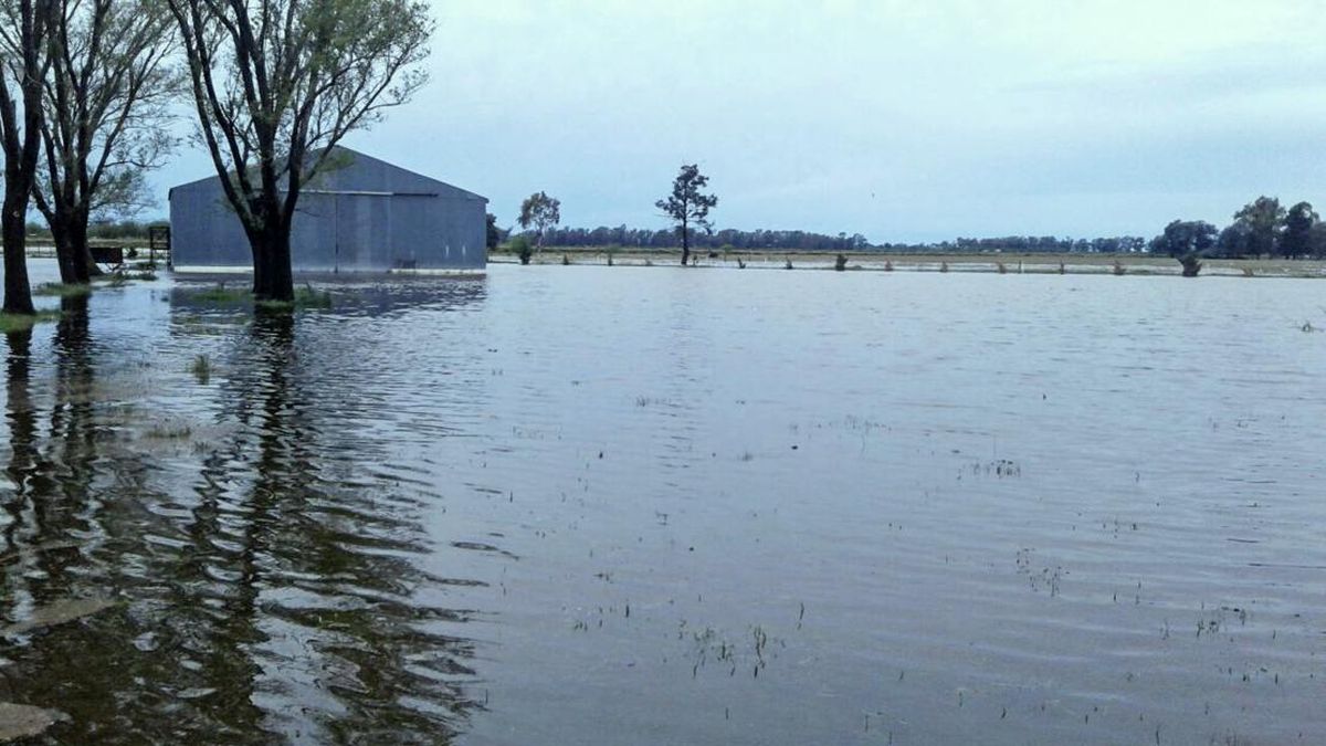 Inundaciones: declaran la emergencia agropecuaria en cuatro provincias