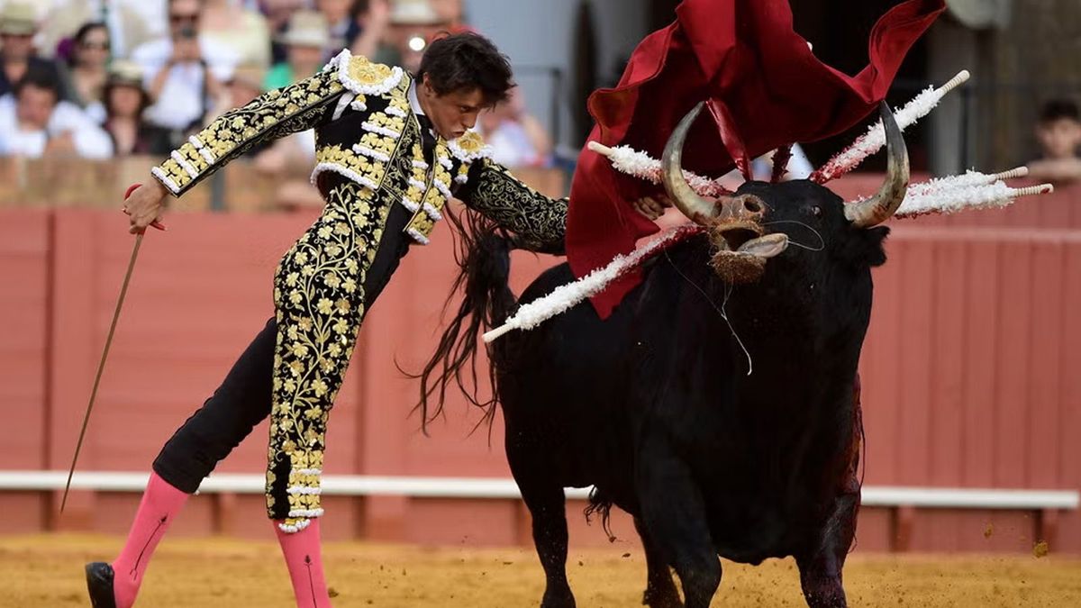 Tardes de soledad, un documental sobre toreros ensimismados y toros en ...