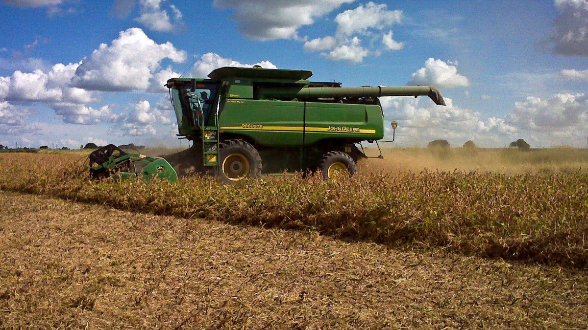 La Bolsa Cereales de Buenos Aires bajó previsión de cosecha de soja