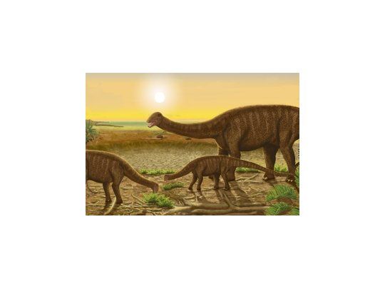 Descubren especie de dinosaurio
