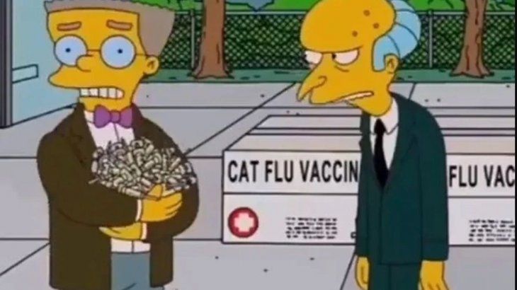 Vacunatorio VIP: la sorprendente predicción de Los Simpson