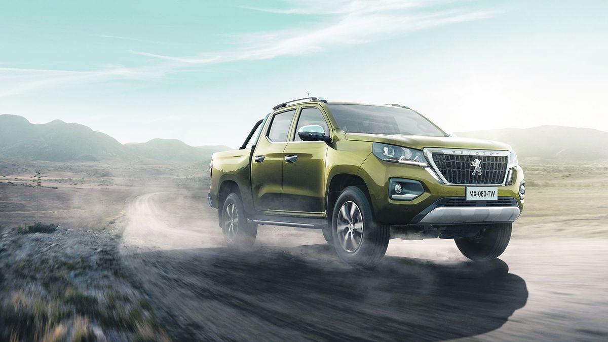 Asoma la chata del león