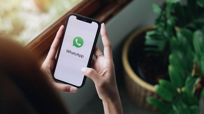 El truco de WhatsApp para saber quién no te tiene agendado como contacto