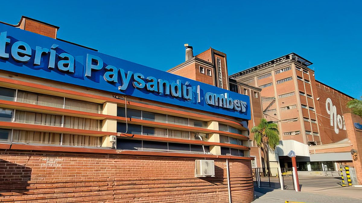 El gobierno define la próxima semana si otorga beneficios a Ambev para ...