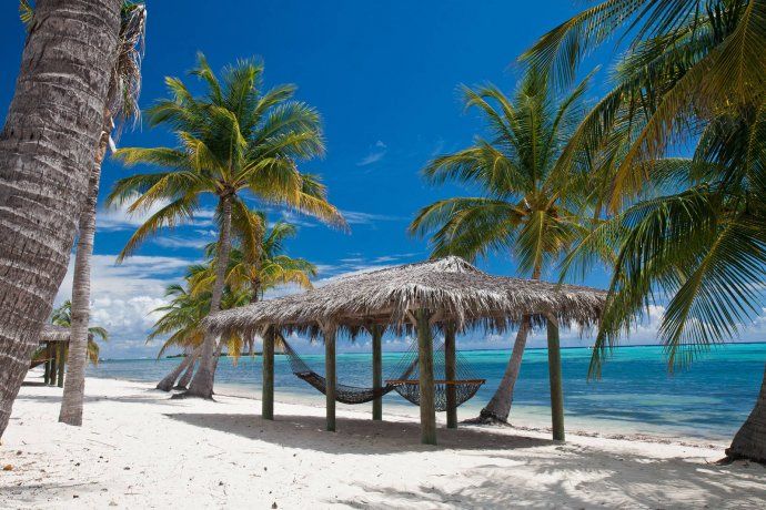 Islas Caimán: el paradisíaco destino que es uno de los más buscados del ...