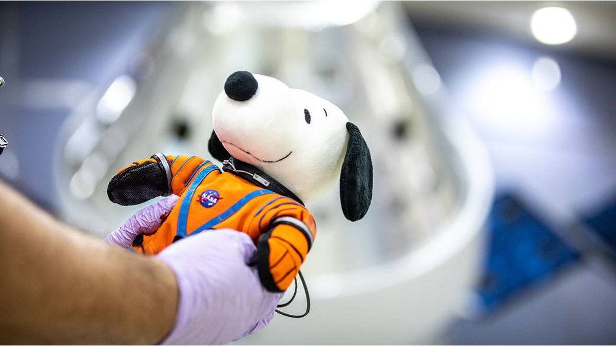 Certificado De La Nasa De Snoopy