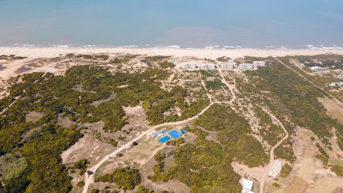 Northbeach: el momento de disfrutar la playa todo el año es ahora