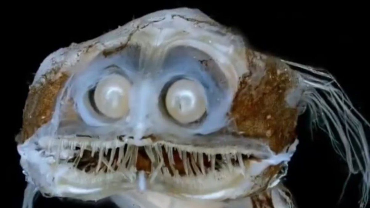 Platform bokep chose to head for Casa Paloma and their