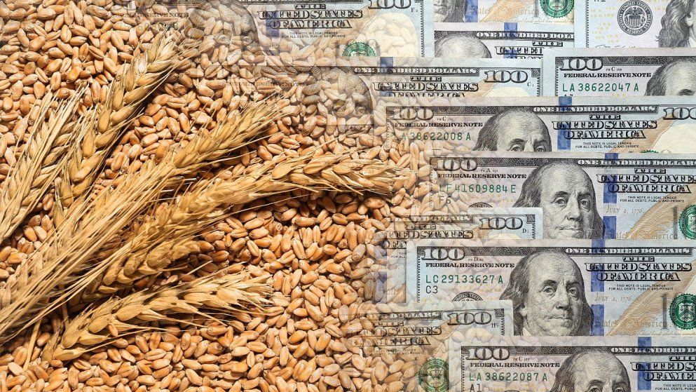 Campo. Últimas noticias de Campo | Ambito.com