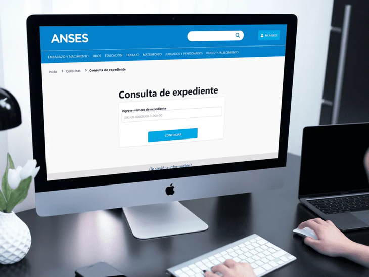 ANSES: cómo consultar el estado de expediente de un trámite