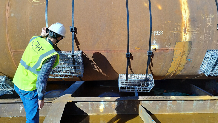 Parque eólico flotante de Francia usa hábitats marinos artificiales ...