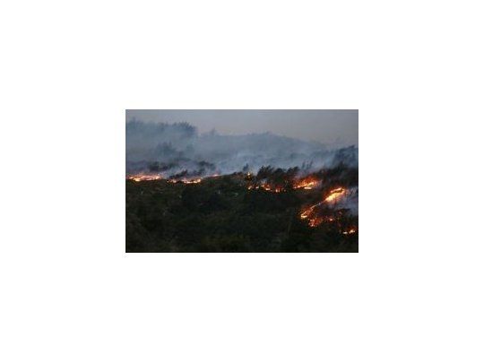 Un Muerto Y 8 000 Hectáreas Arrasadas Por Nuevo Incendio Forestal En El