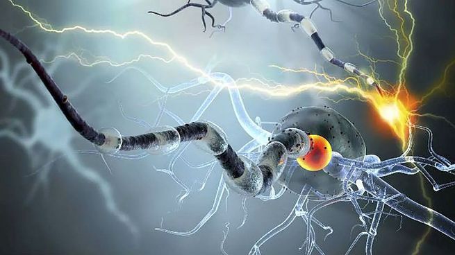 Convulsiones: las causas, qué consecuencias deja y cómo actuar ante una ...