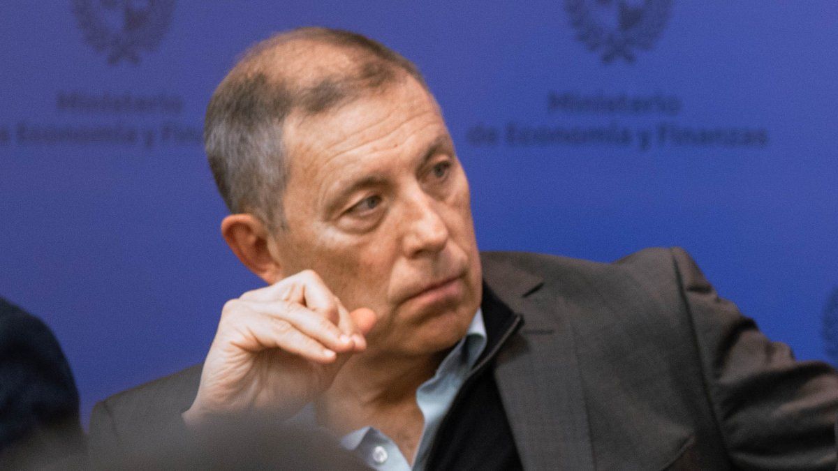 Gabriel Oddone advierte que el Estado aportará cerca de u$s 80 millones ...