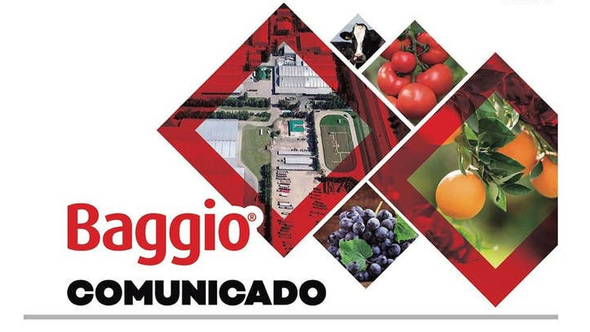 Con una solicitada, la empresa Baggio denunció que sufrió una estafa