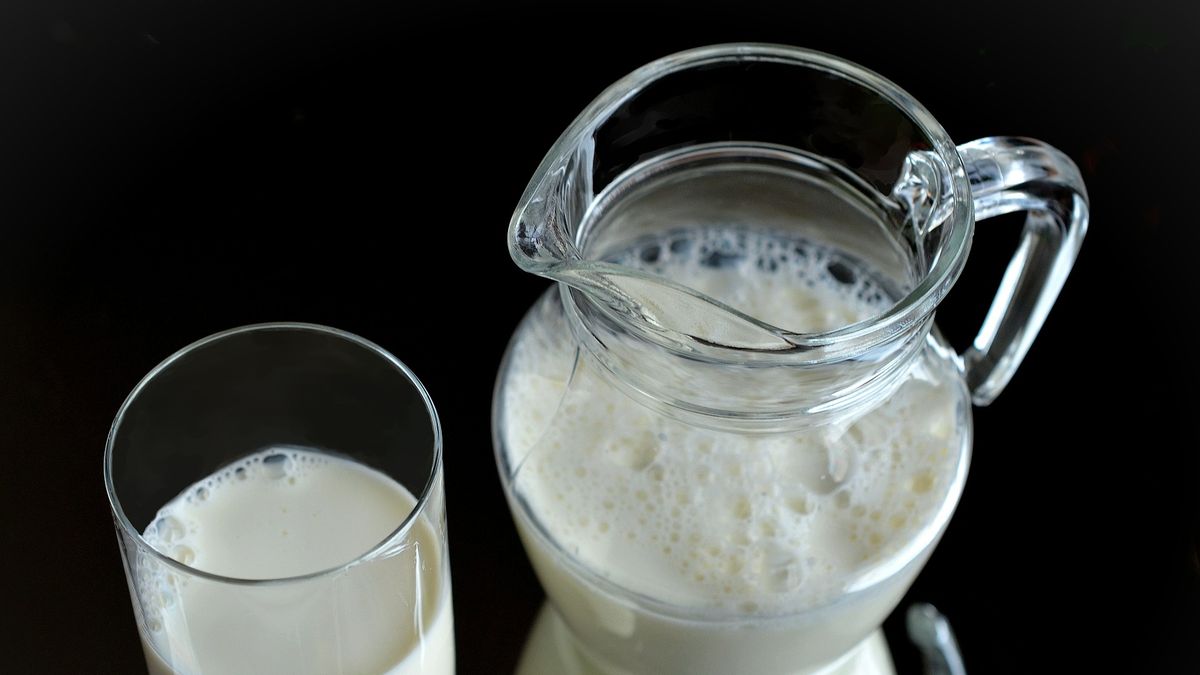 Leche de vaca, de soja o de almendra: ¿cuál es la mejor alternativa?