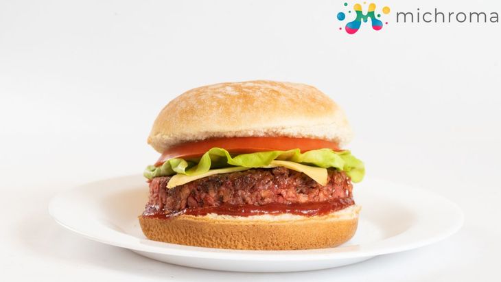 Talento argentino: startup Michroma obtuvo inversión histórica para ...