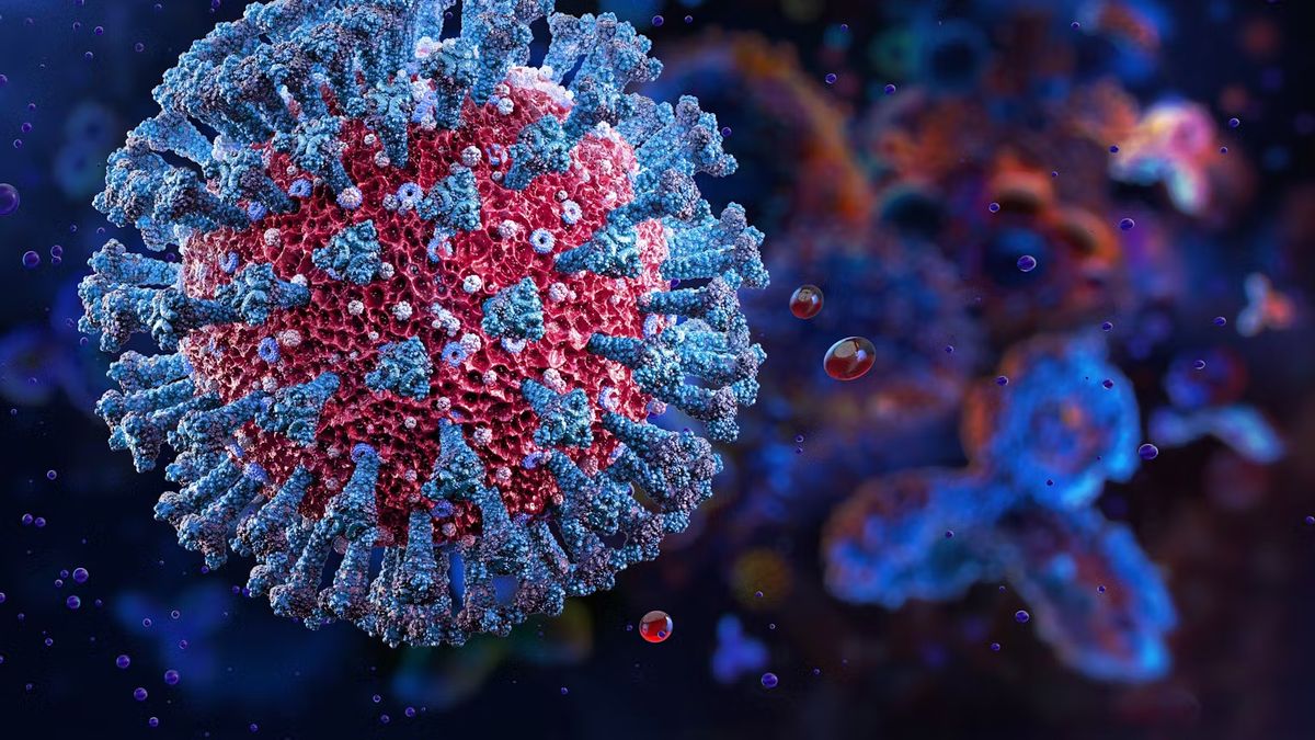 Alerta gripe H3N2 en la Argentina: detectaron dos casos aislados del ...