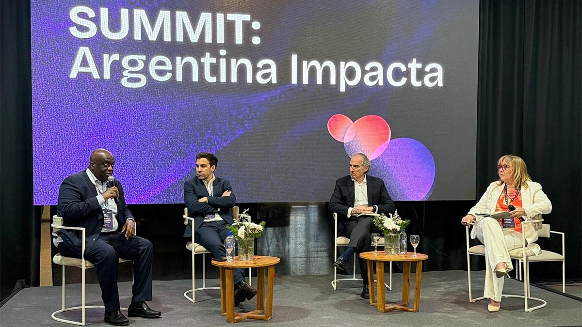 Inversiones mineras: presentan alternativas de financiamiento en San Juan ante líderes globales ...