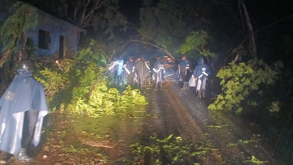 FOTOS: así quedó Guerrero tras el impacto del huracán John