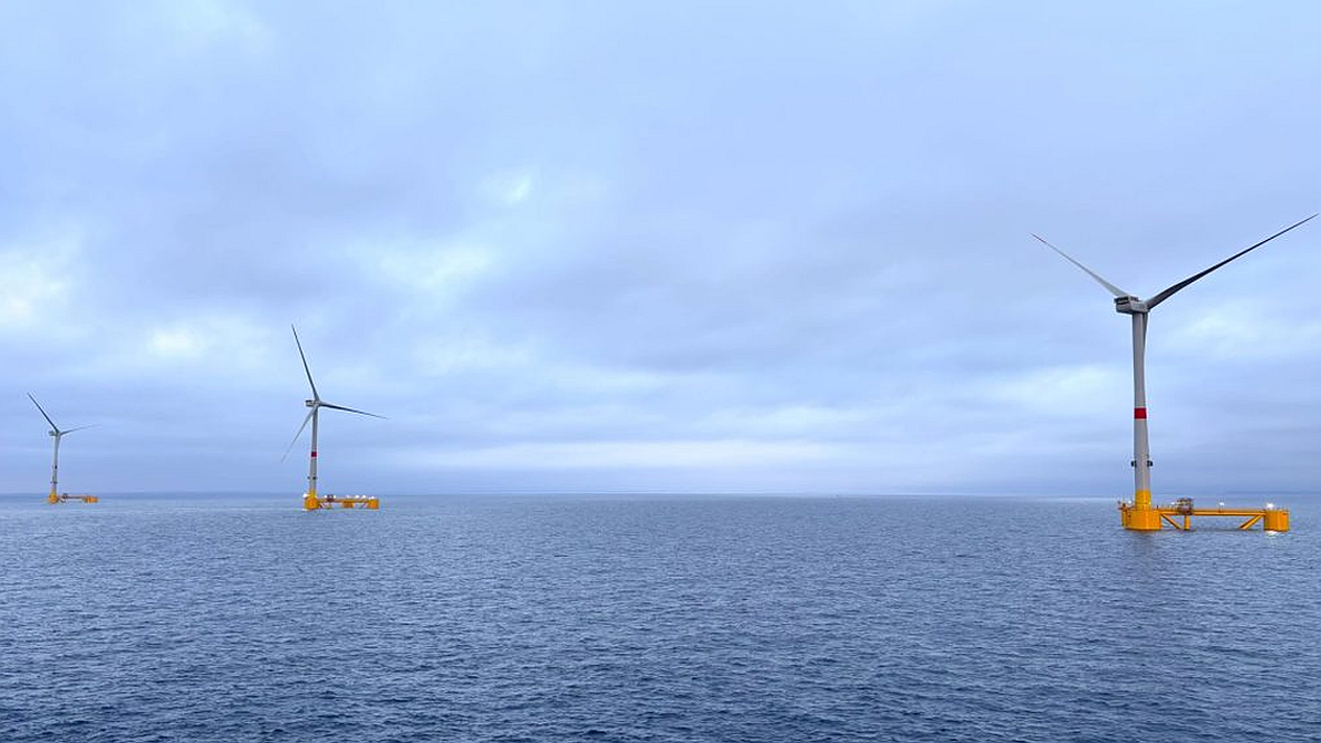 Parque eólico flotante de Francia usa hábitats marinos artificiales ...