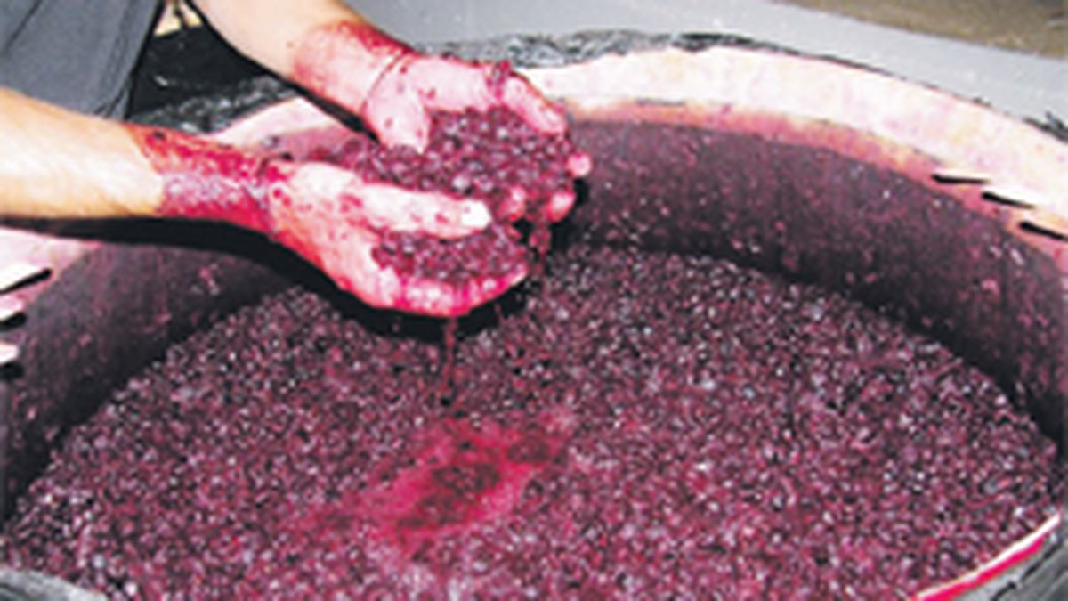 Estalló la guerra del mosto entre el NOA y provincias vitivinícolas