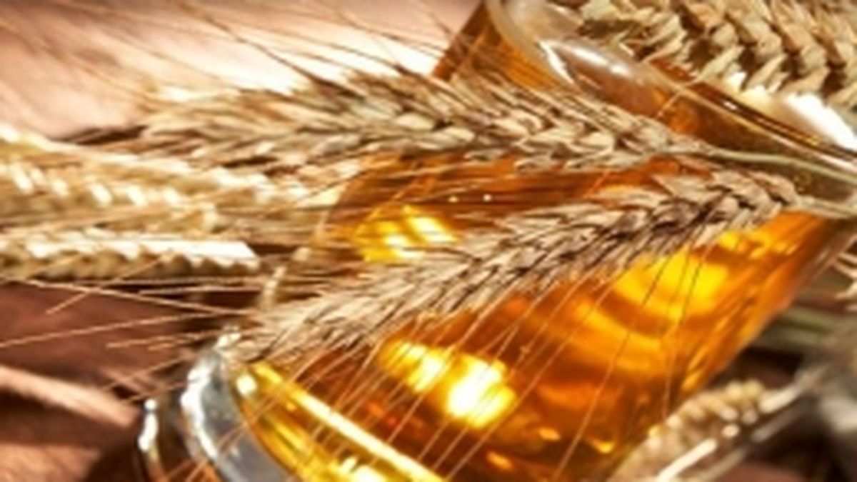 Cosecha récord de cebada cervecera