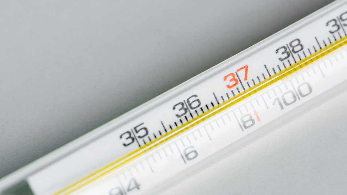 La temperatura corporal ya no es más de 36,6 grados según la ciencia ...