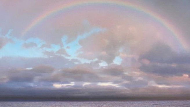 Helmut Ditsch, el pintor argentino mejor cotizado, presentó su nueva obra